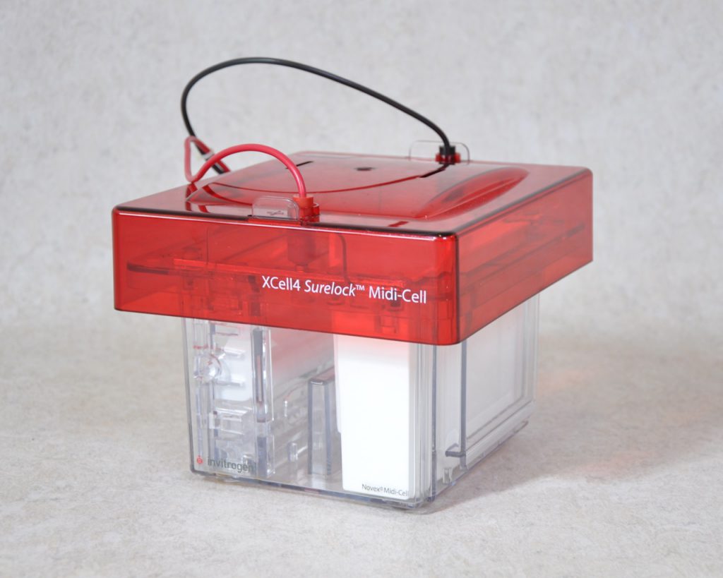 XCell4 SureLock Midi-Cell electrophoresis - Gemini BV