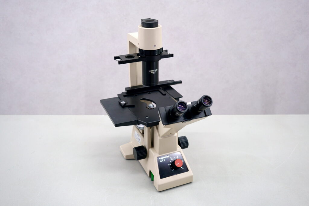Olympus CK2 phase contrast inverted microscope - Gemini BV