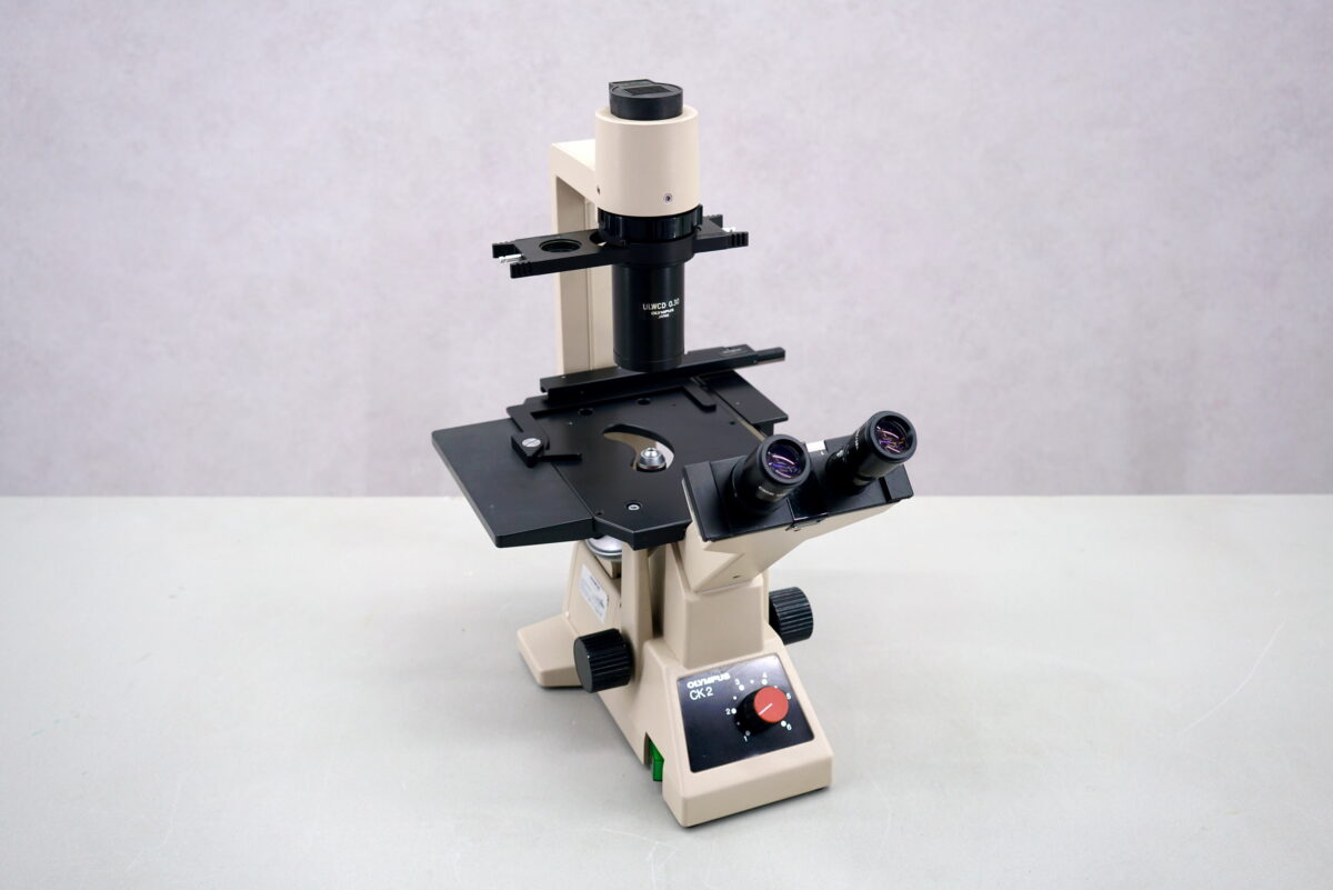 Olympus CK2 phase contrast inverted microscope - Gemini BV