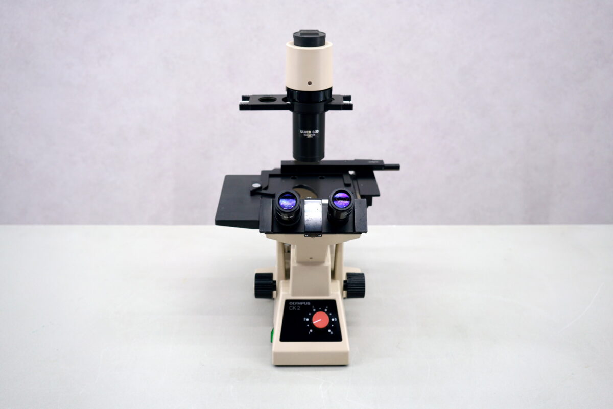 Olympus CK2 phase contrast inverted microscope - Gemini BV