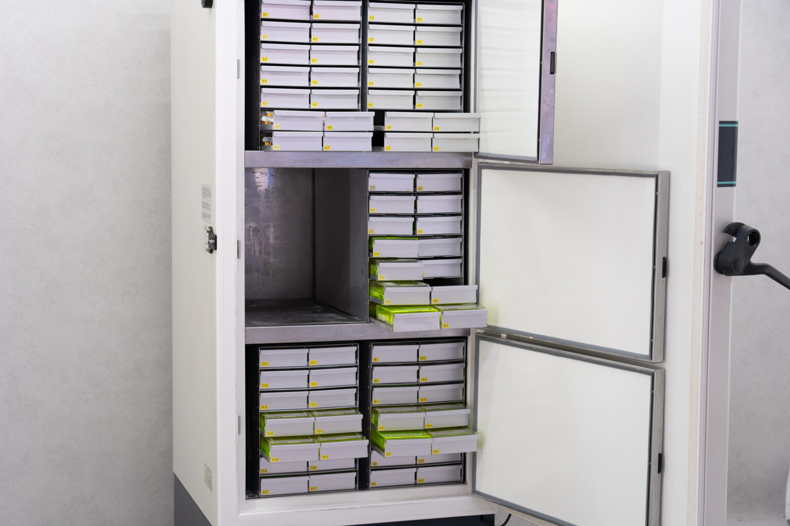 New Brunswick U535-86 freezer - Gemini BV