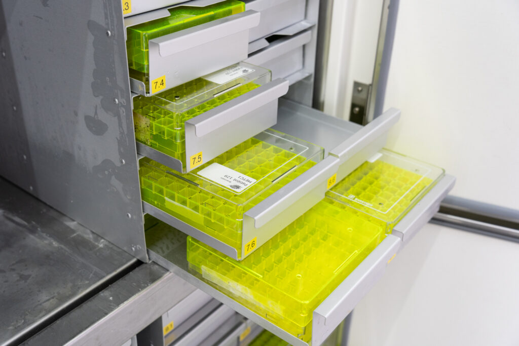 New Brunswick U535-86 freezer - Gemini BV