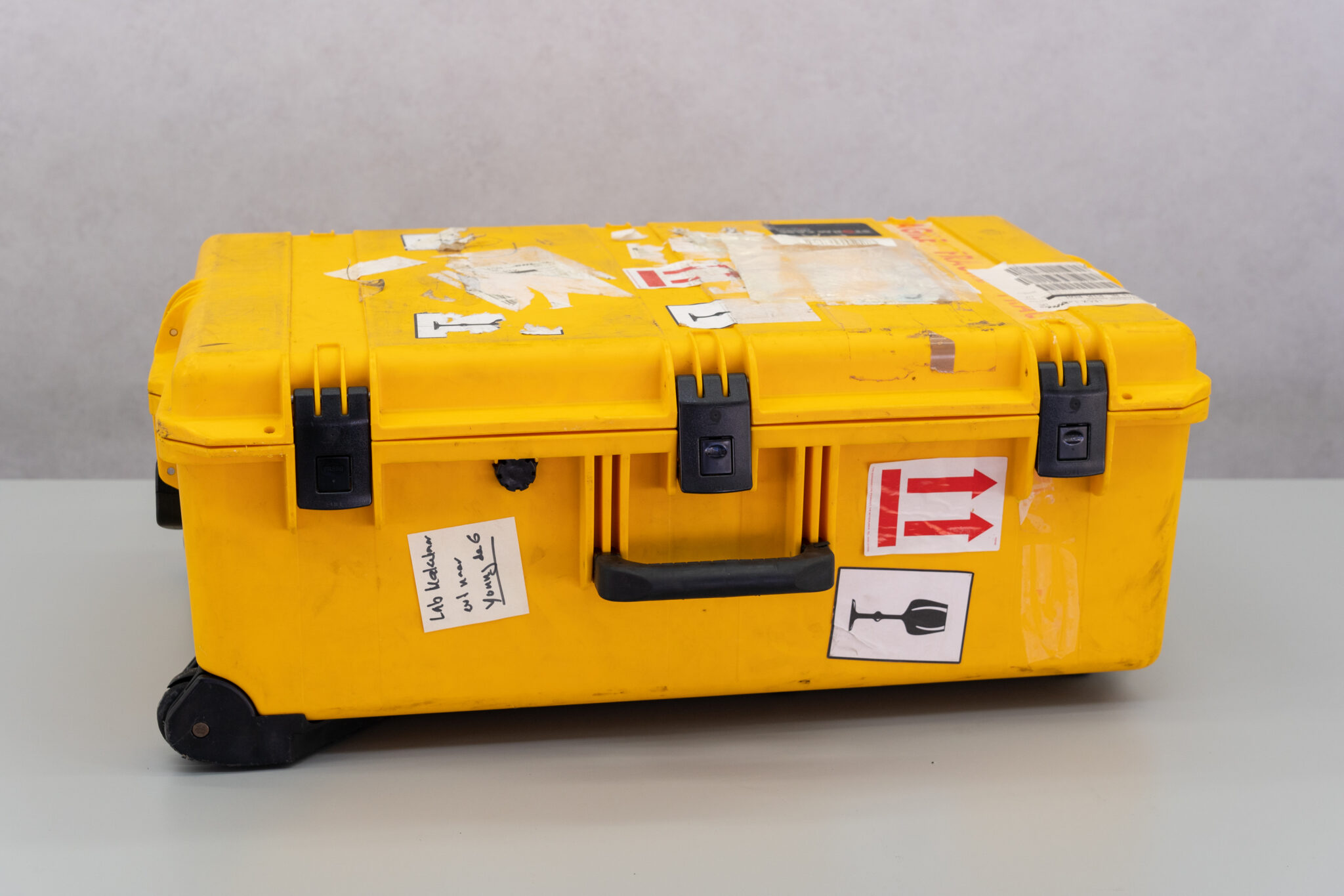 Moor Instruments FLPI Full Field Laser Perfusion Imager (Laser Speckle ...