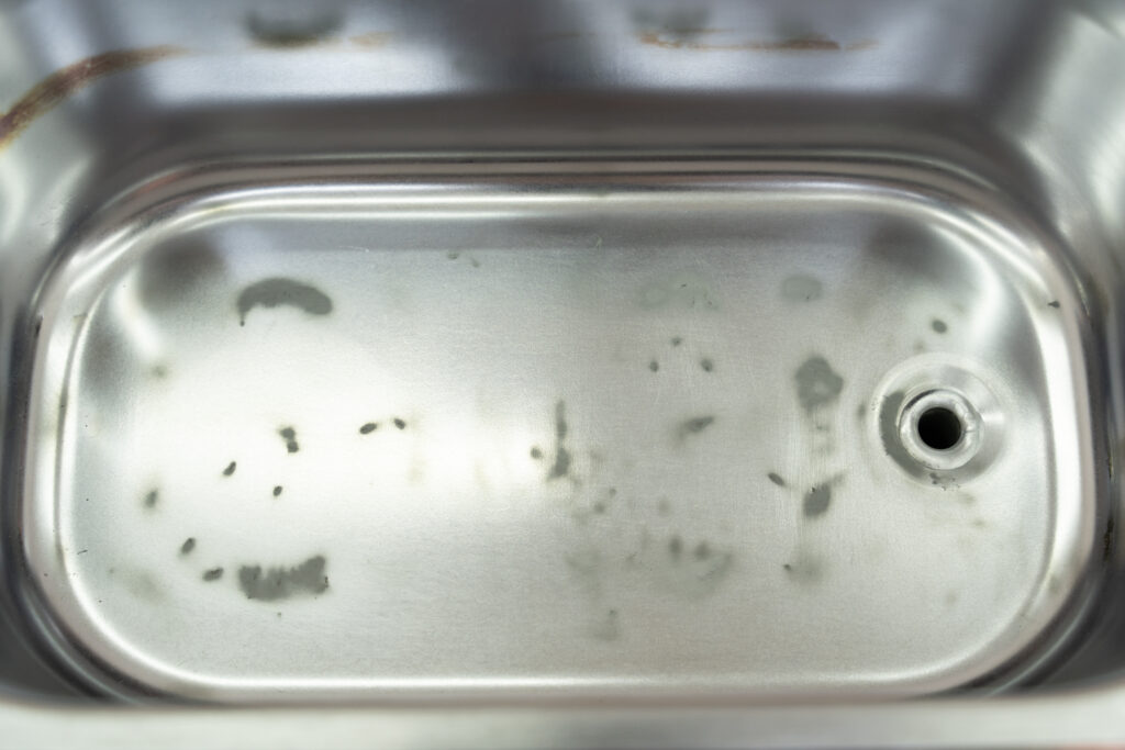 Bandelin sonorex digiplus DL102H ultrasonic bath - Gemini BV