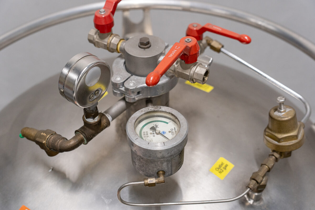 Cryo Solutions CS 200 SK Liquid Nitrogen Tank - Gemini BV